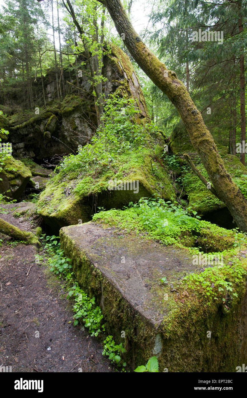 Gast-Bunker in der Wolfsschanze, Hitlers Wolf Lair Ostfront ...