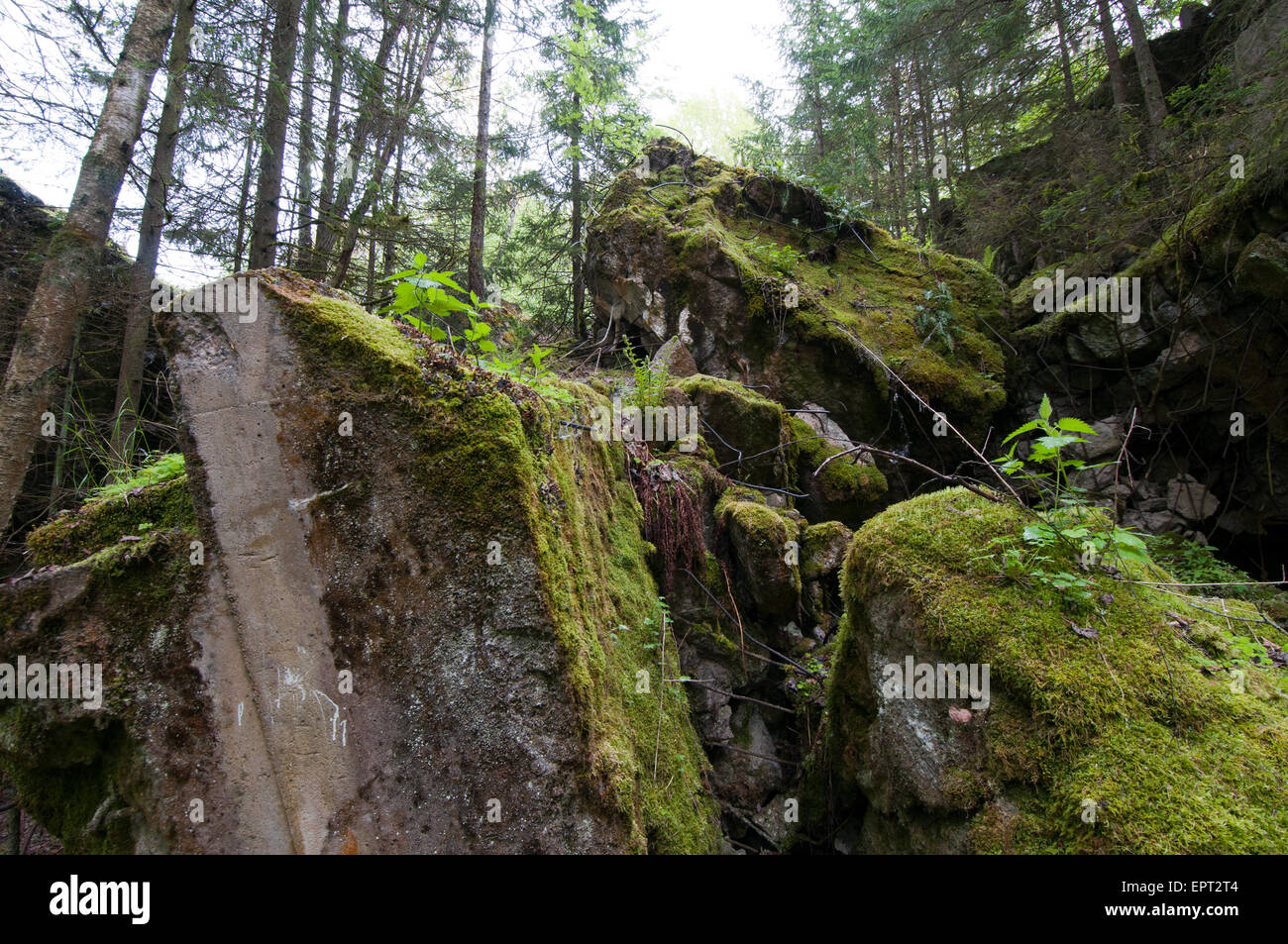 Gast-Bunker in der Wolfsschanze, Hitlers Wolf Lair Ostfront ...