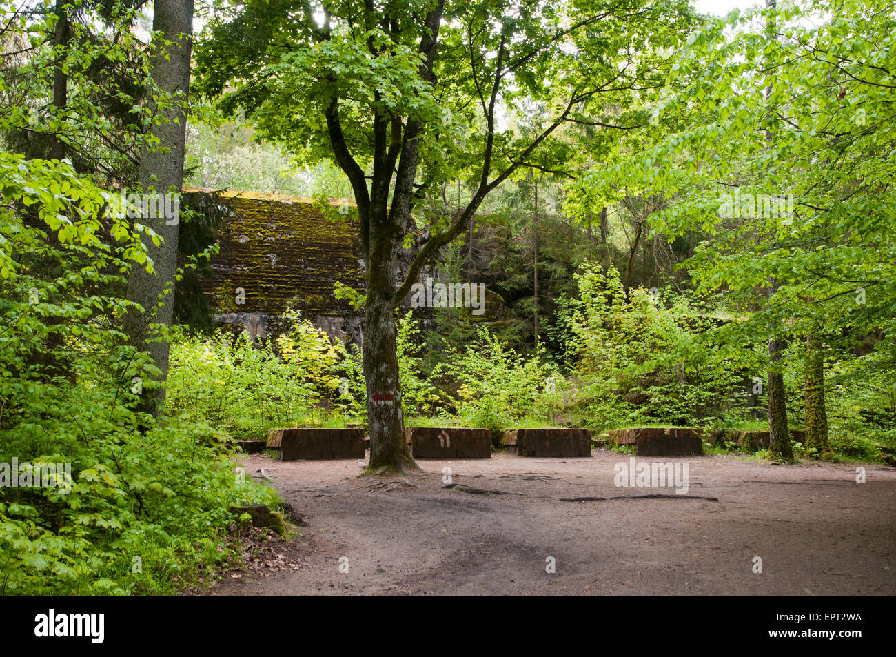 Gast-Bunker in der Wolfsschanze, Hitlers Wolf Lair Ostfront ...
