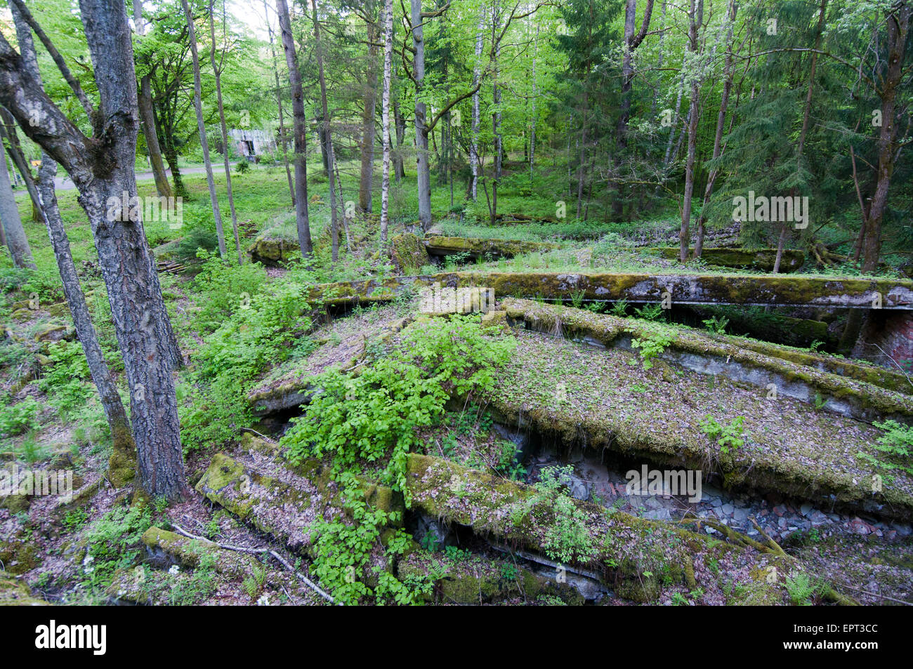 Gast-Bunker in der Wolfsschanze, Hitlers Wolf Lair Ostfront ...