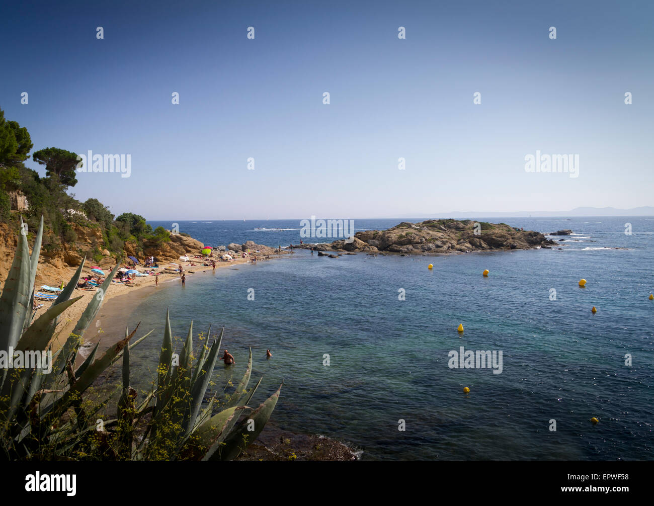 Rosen spanien -Fotos und -Bildmaterial in hoher Auflösung – Alamy