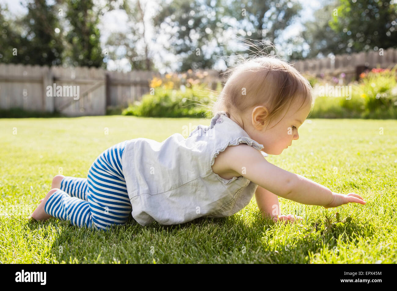 1 to 6 mon -Fotos und -Bildmaterial in hoher Auflösung – Alamy