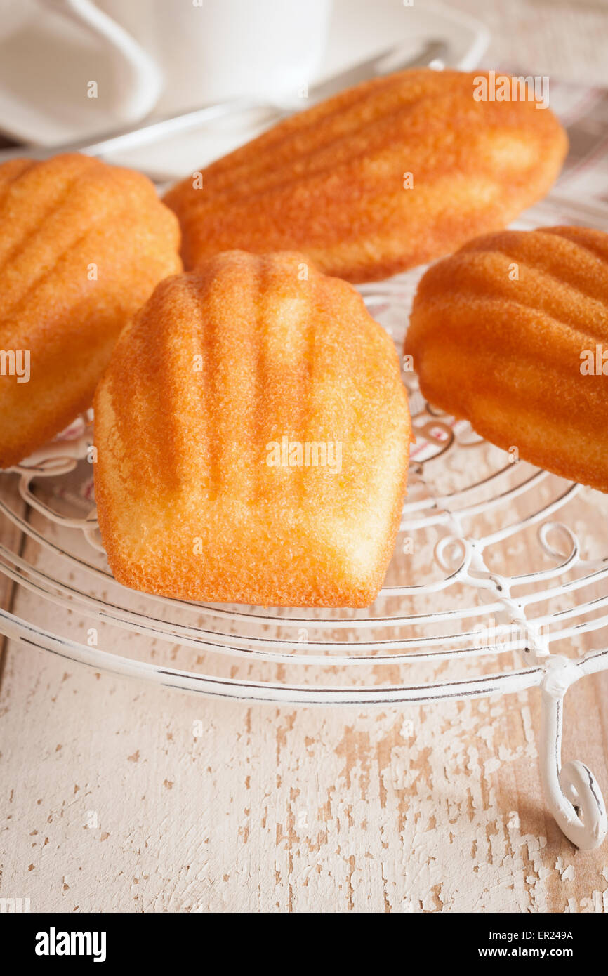 Madeleines oder zierliche Madeleine ein traditioneller Kuchen aus ...