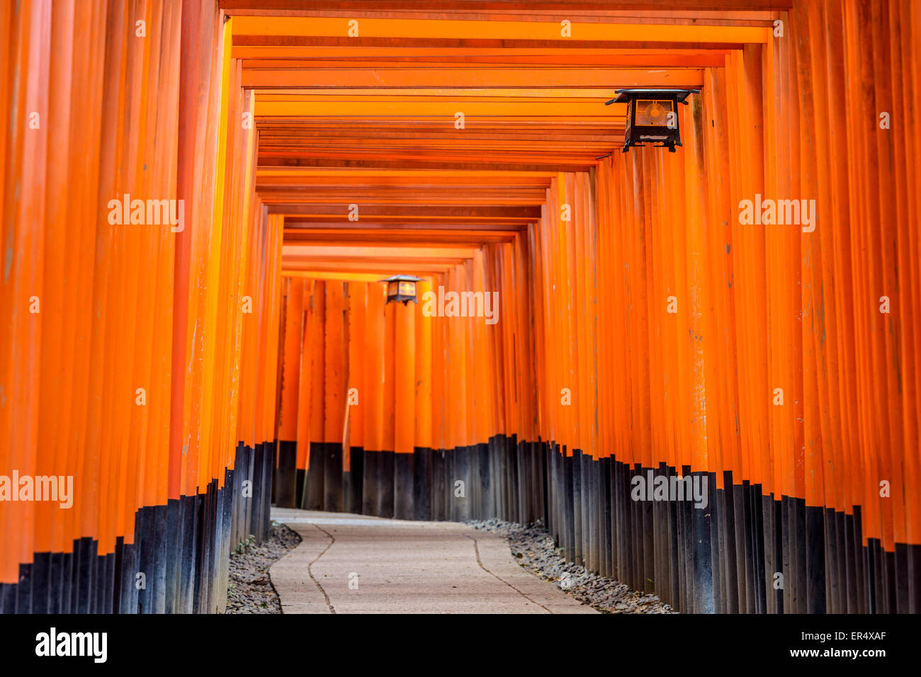 Torii in fushimi inari -Fotos und -Bildmaterial in hoher Auflösung – Alamy