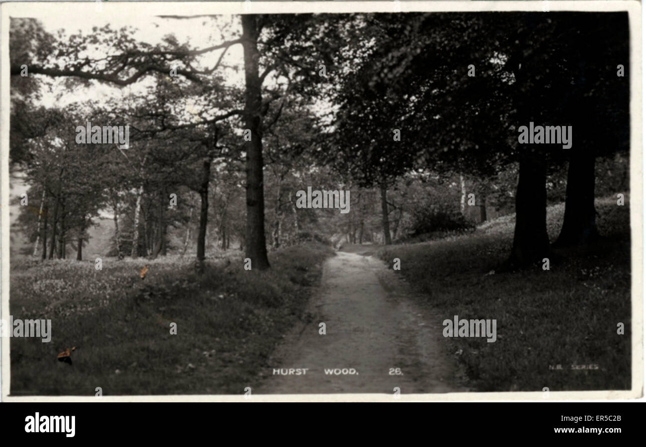 Hurst wood -Fotos und -Bildmaterial in hoher Auflösung – Alamy