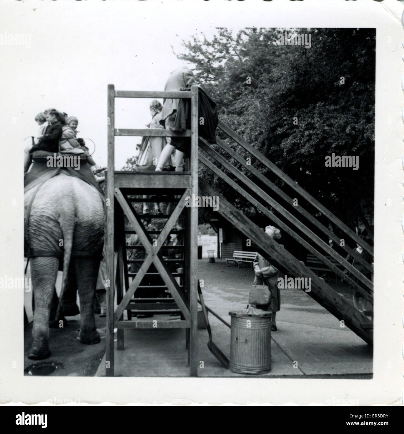 Southampton zoo -Fotos und -Bildmaterial in hoher Auflösung – Alamy