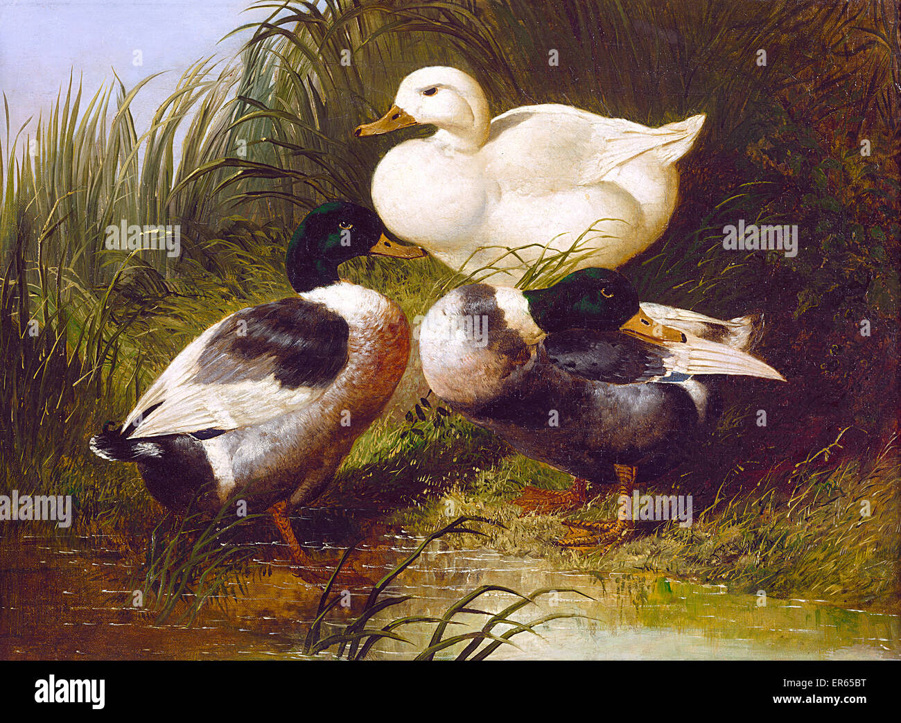 öl bach -Fotos und -Bildmaterial in hoher Auflösung – Alamy