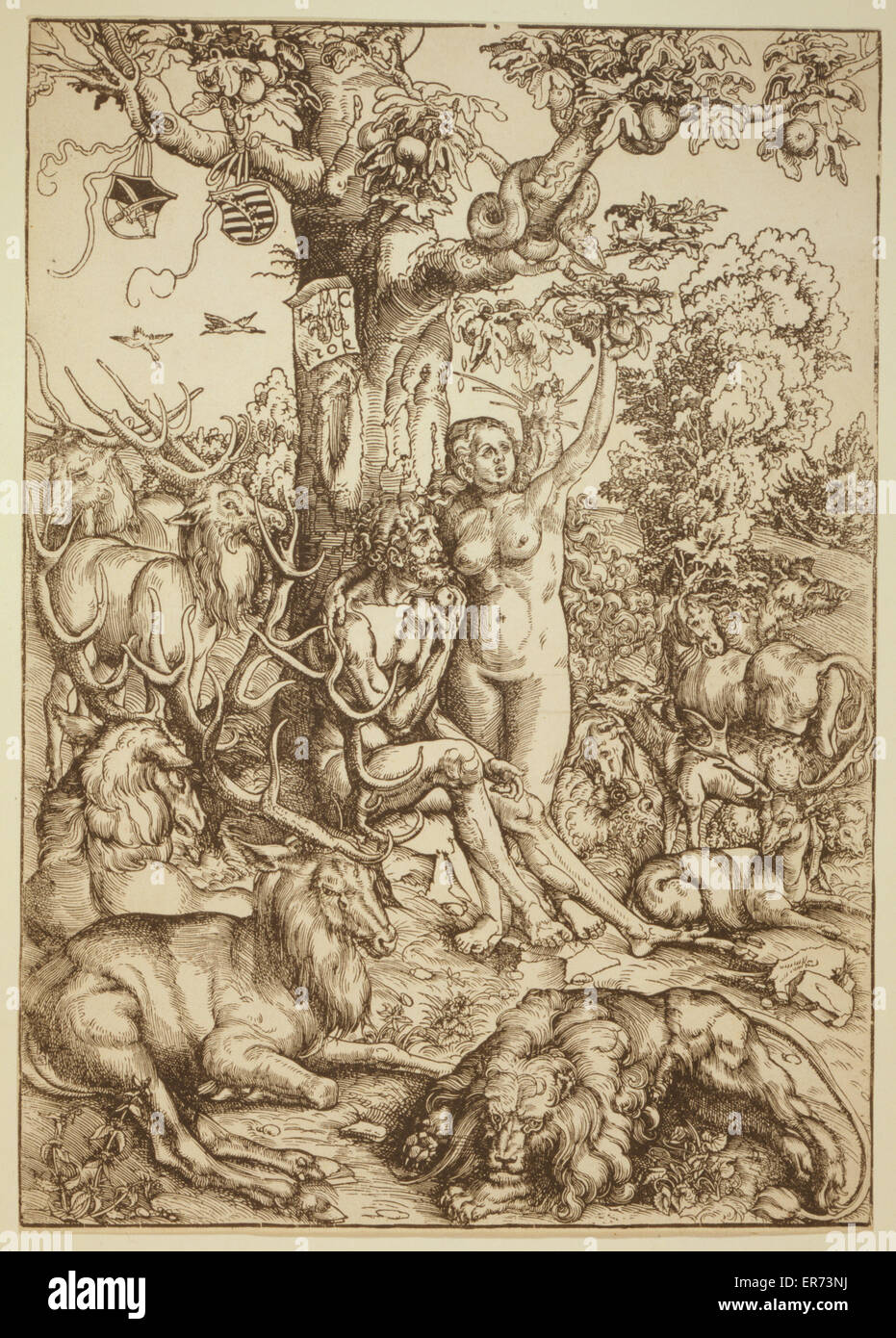 Adam baum -Fotos und -Bildmaterial in hoher Auflösung – Alamy