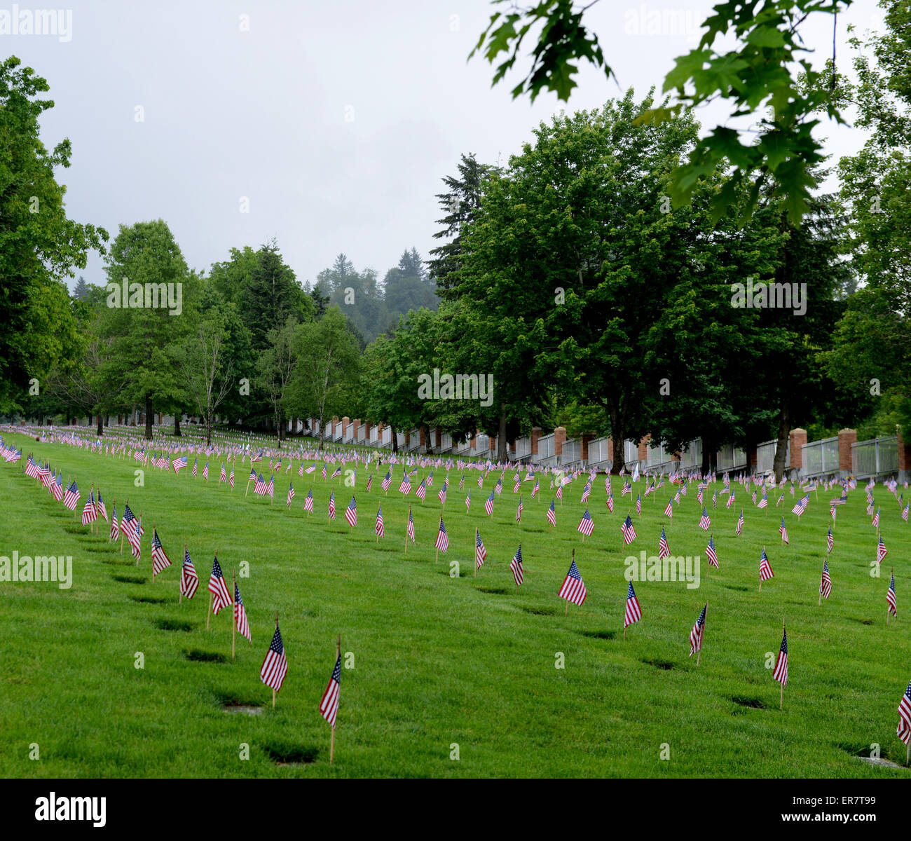Memorial Day-Flaggen auf dem Willamette National Cemetery, Portland ...