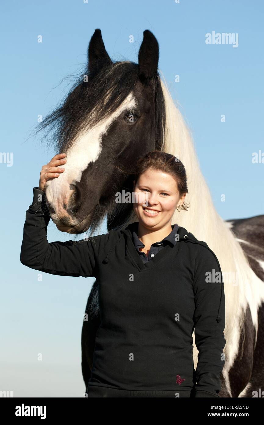 Irish tinker pony -Fotos und -Bildmaterial in hoher Auflösung – Alamy