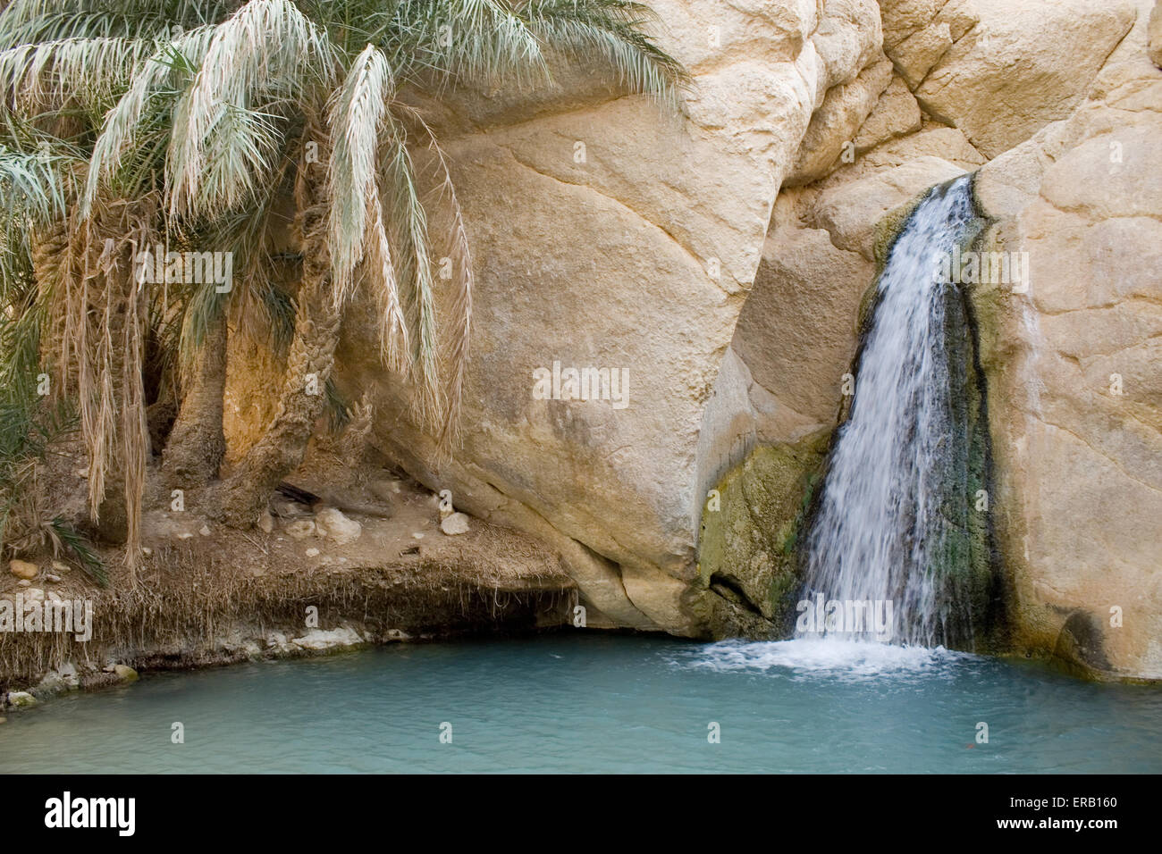 Wasserfall in bergoase chebika -Fotos und -Bildmaterial in hoher Auflösung – Alamy