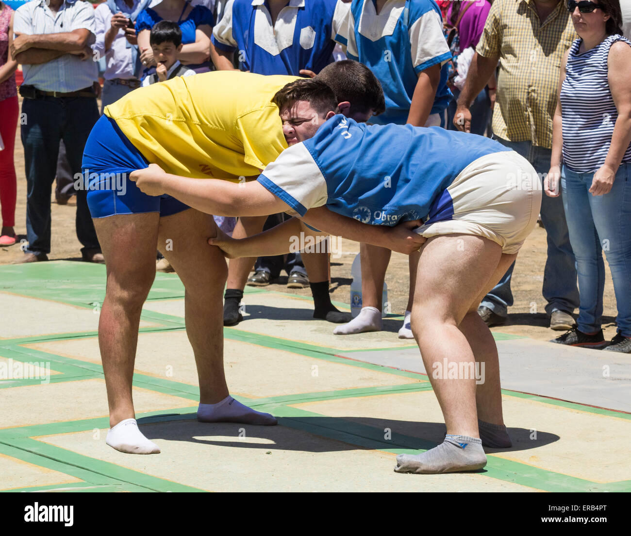 Canarian wrestling -Fotos und -Bildmaterial in hoher Auflösung – Alamy
