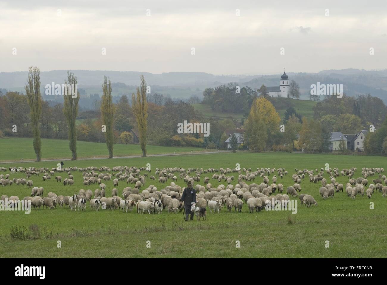 Hirte und schafe -Fotos und -Bildmaterial in hoher Auflösung – Alamy