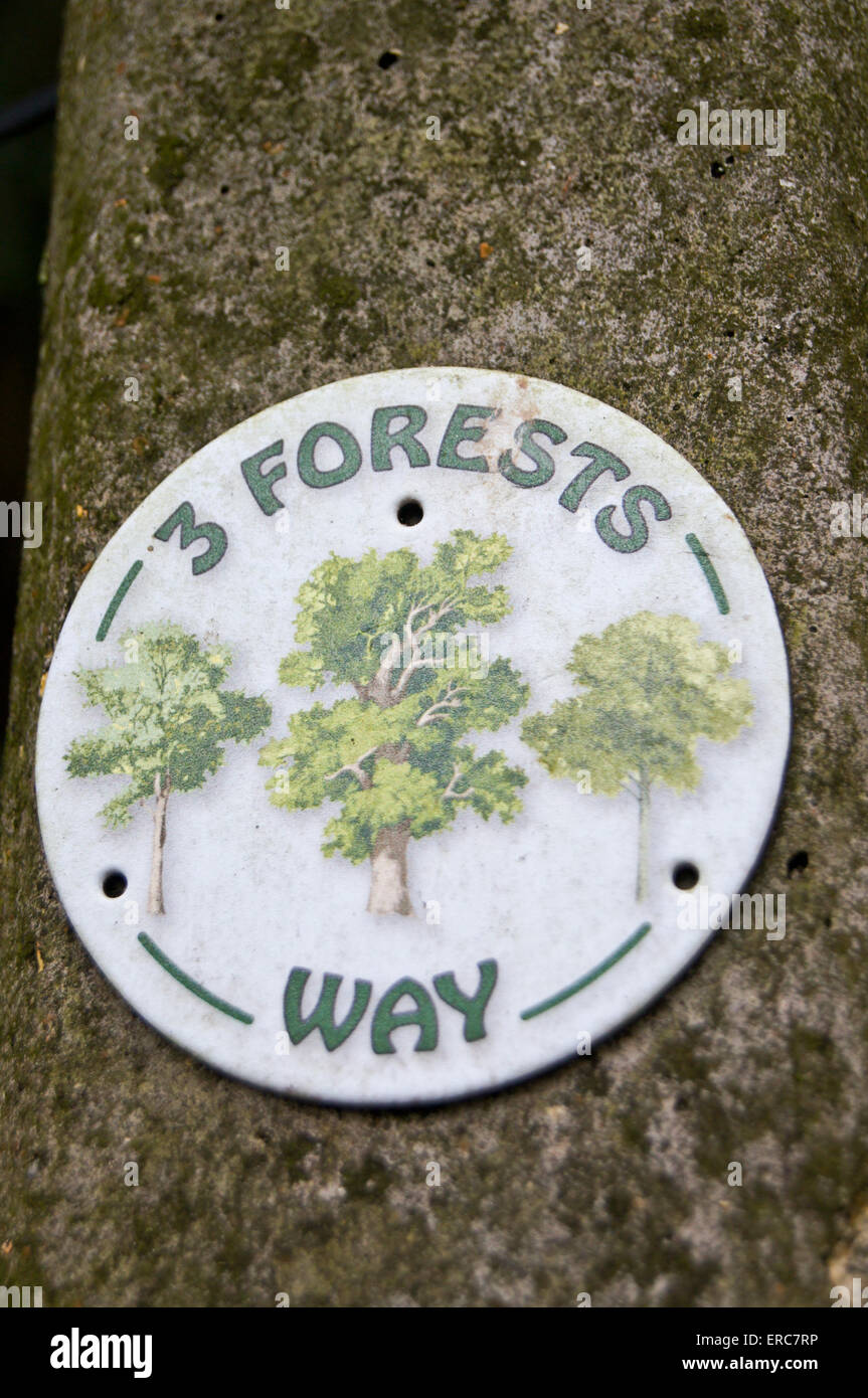 Blank three way sign post -Fotos und -Bildmaterial in hoher Auflösung ...