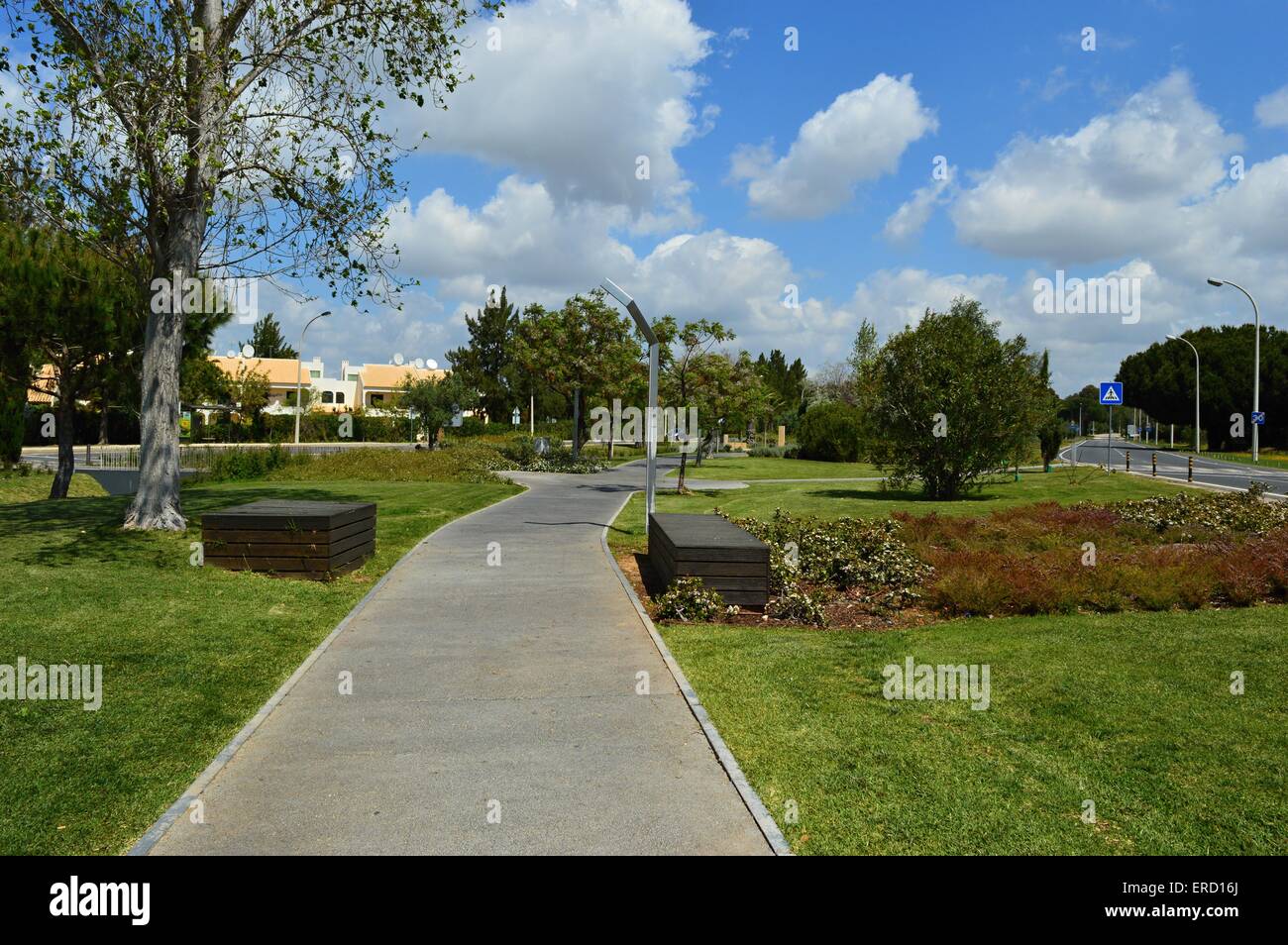 Palm tree trees -Fotos und -Bildmaterial in hoher Auflösung – Alamy