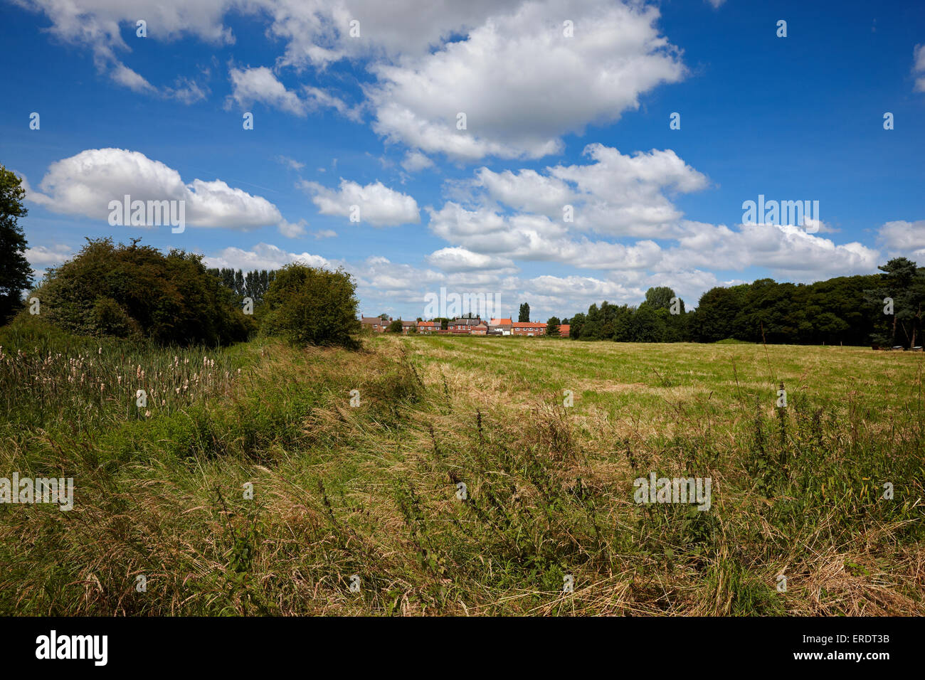 Schloss von cawood -Fotos und -Bildmaterial in hoher Auflösung – Alamy