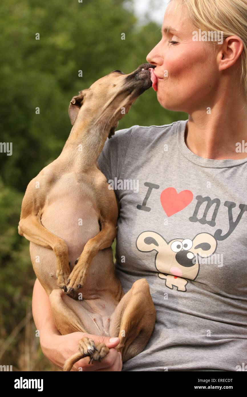 Hund leckt frau -Fotos und -Bildmaterial in hoher Auflösung – Alamy Hund leckt frau -Fotos und -Bildmaterial in hoher Auflösung – Alamy