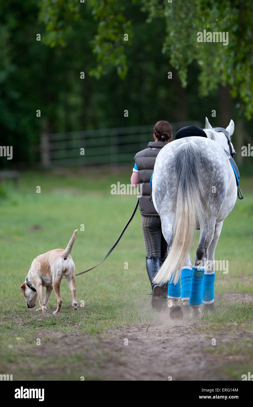 Menschen hund pferd -Fotos und -Bildmaterial in hoher Auflösung – Alamy