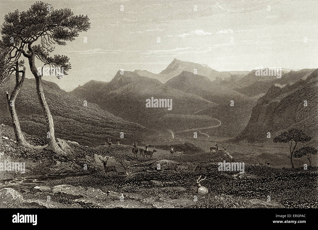 Edward francis -Fotos und -Bildmaterial in hoher Auflösung – Alamy