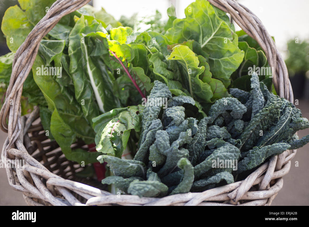 Produkte garnieren -Fotos und -Bildmaterial in hoher Auflösung – Alamy