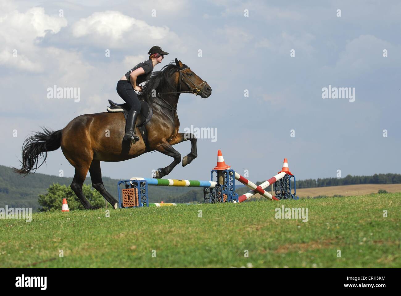 Springende pferde -Fotos und -Bildmaterial in hoher Auflösung – Alamy