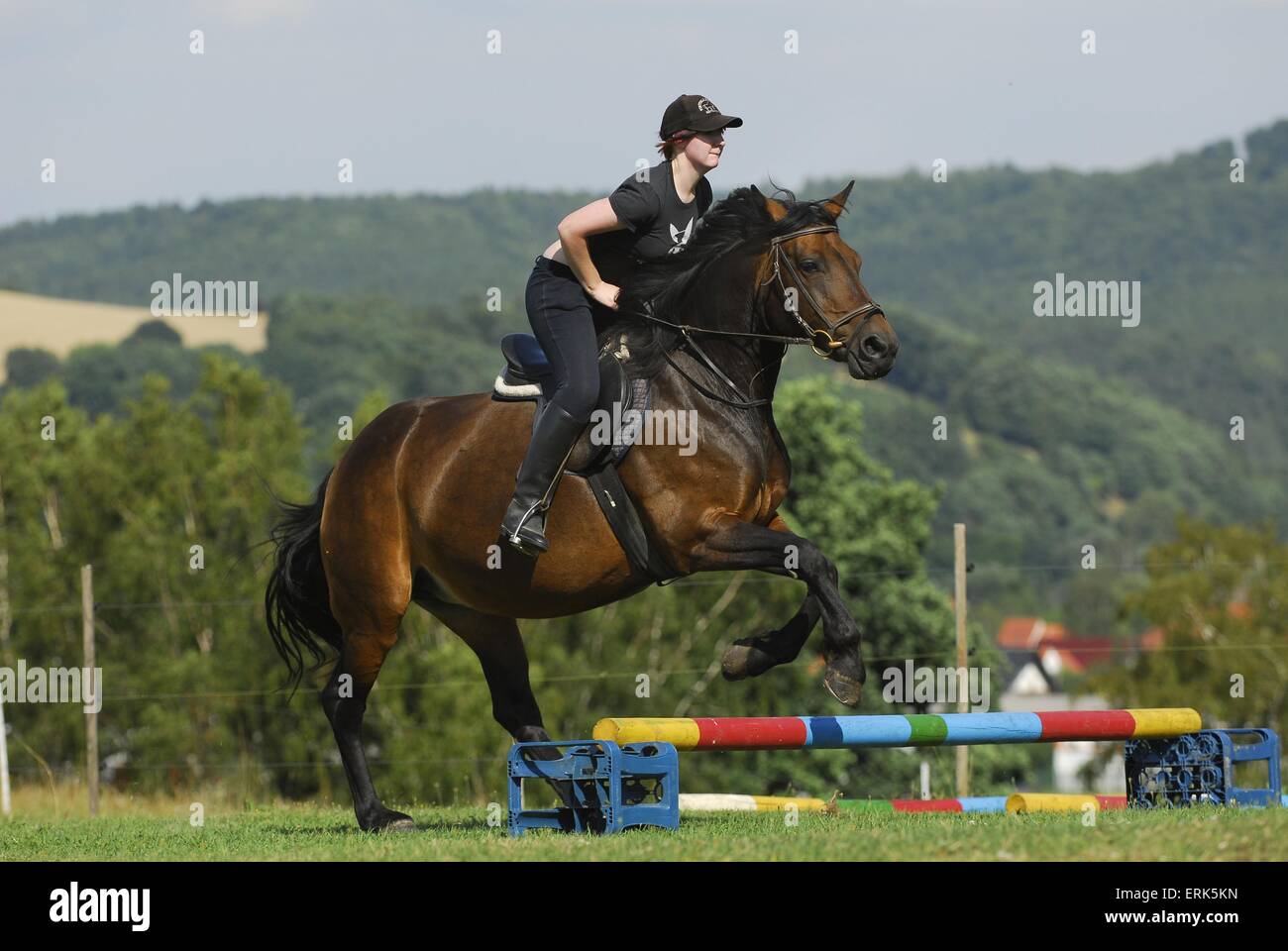 Springende pferde -Fotos und -Bildmaterial in hoher Auflösung – Alamy