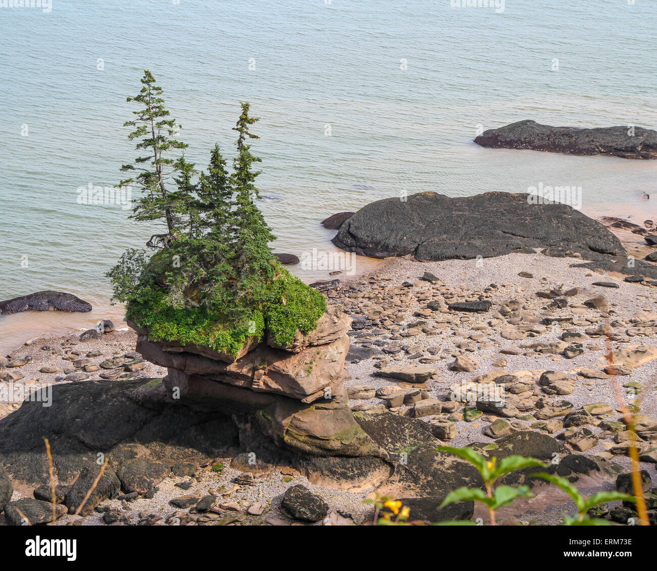 Flower pot rock -Fotos und -Bildmaterial in hoher Auflösung – Alamy