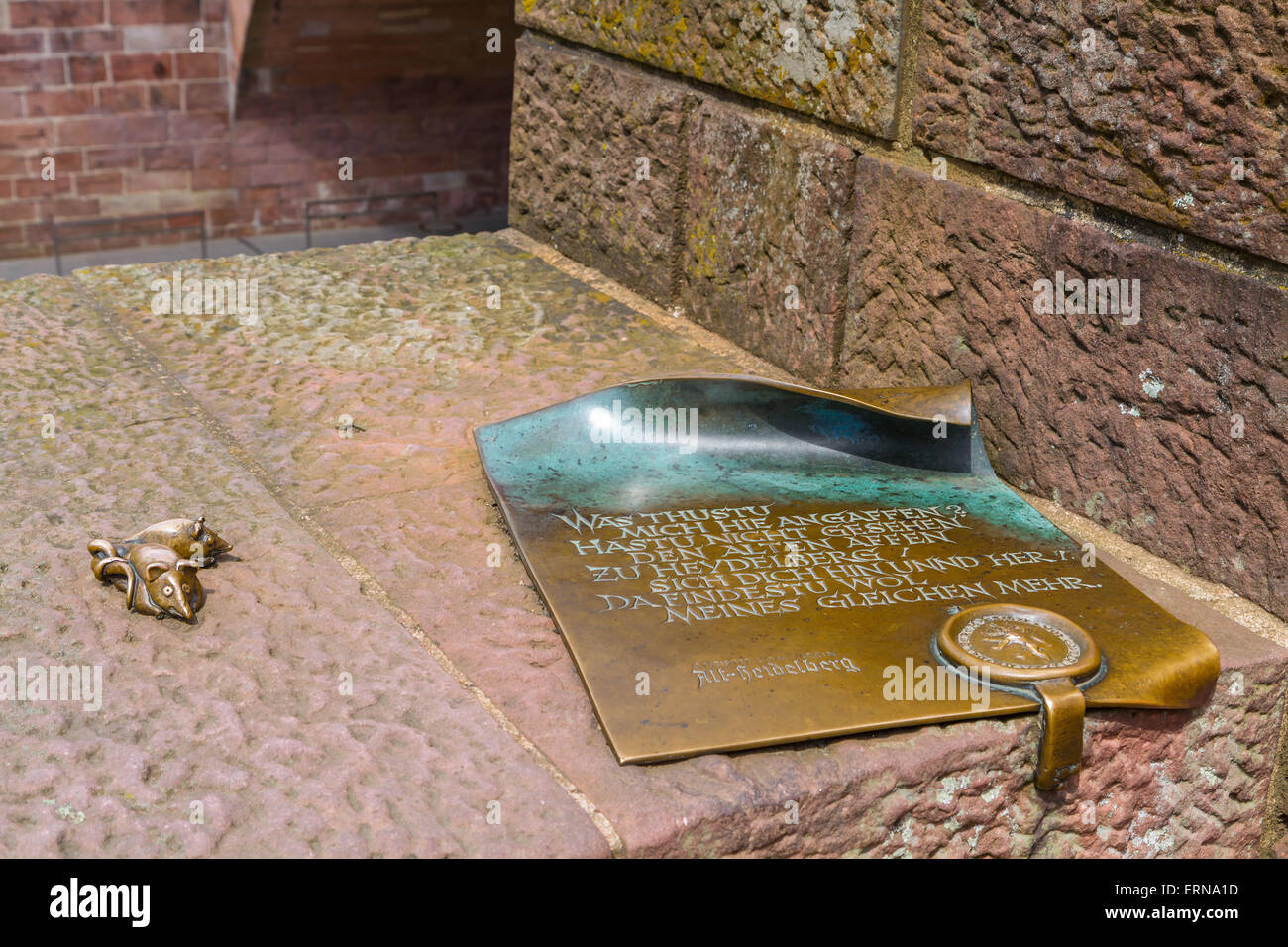 Heidelberg affe -Fotos und -Bildmaterial in hoher Auflösung – Alamy