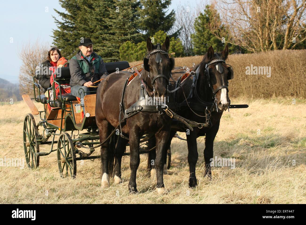 Zwei pferdekutschen -Fotos und -Bildmaterial in hoher Auflösung – Alamy