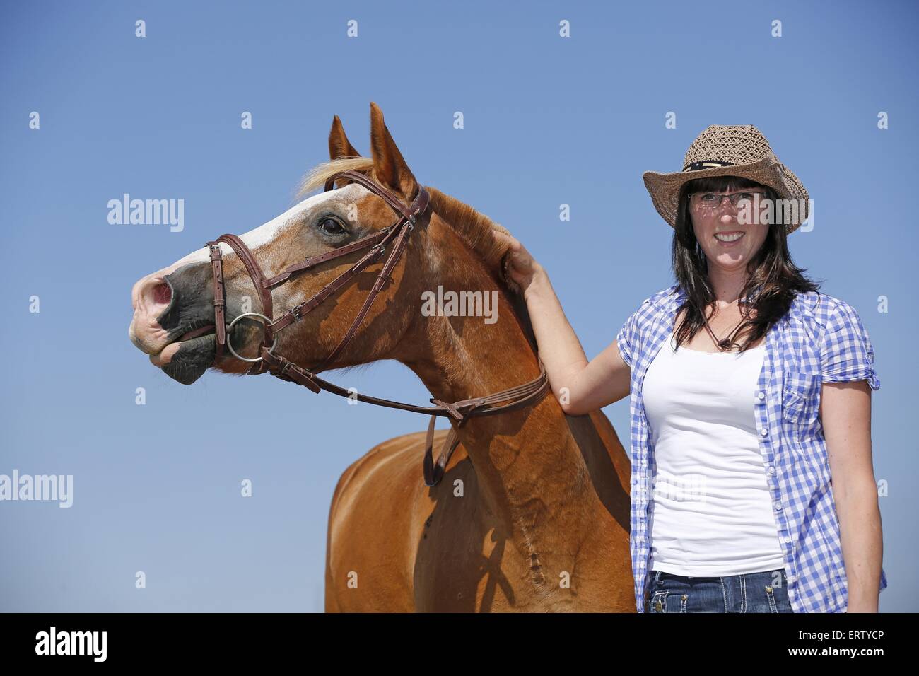 Wieherndes pferd -Fotos und -Bildmaterial in hoher Auflösung – Alamy