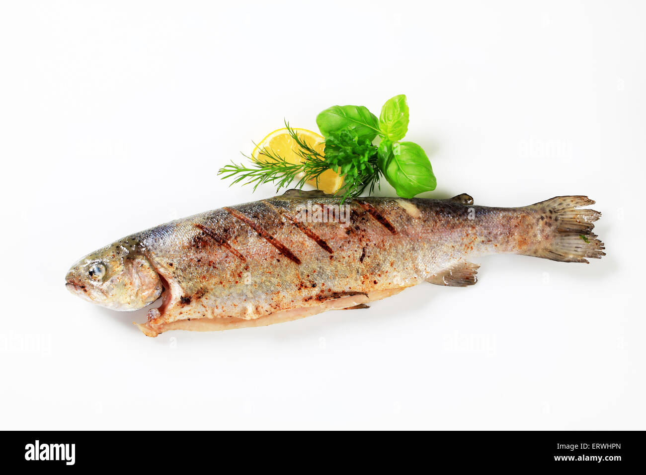 Steelhead forelle Ausgeschnittene Stockfotos und -bilder - Alamy