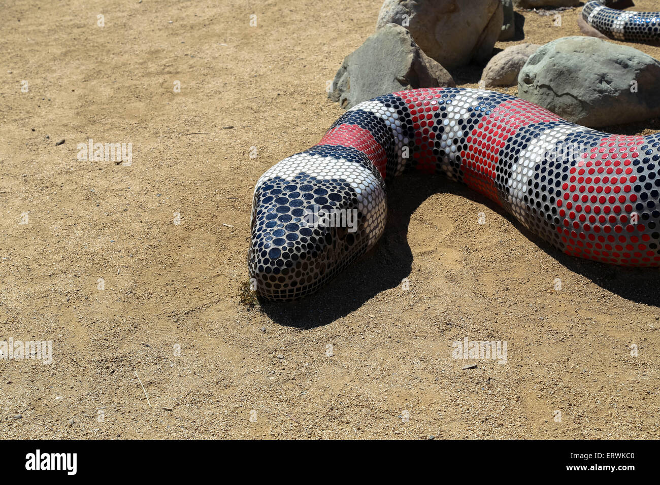 King snake -Fotos und -Bildmaterial in hoher Auflösung – Alamy