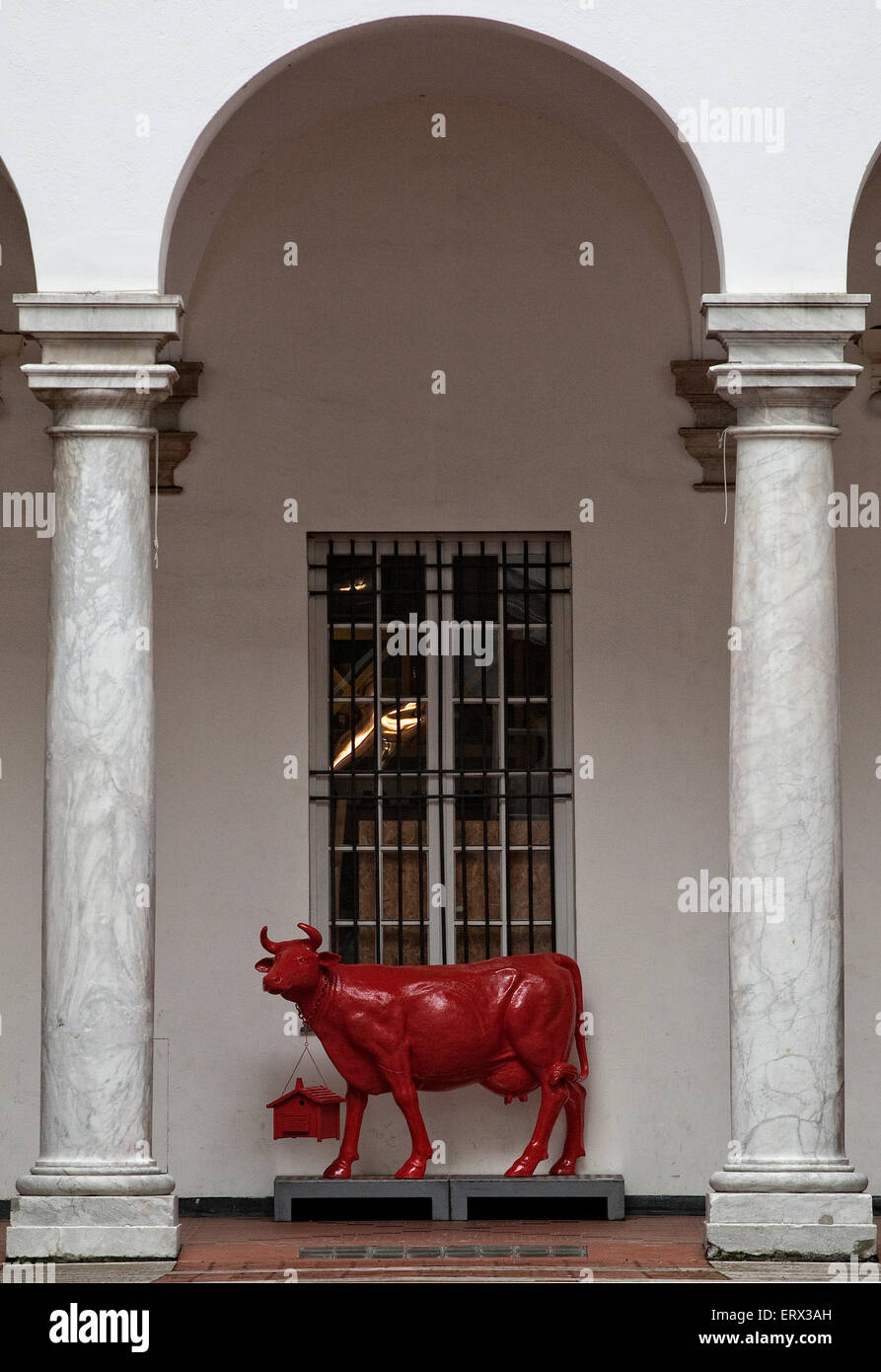 rote Kuh vor einem Fenster und unter einem Bogen Stockfotografie - Alamy