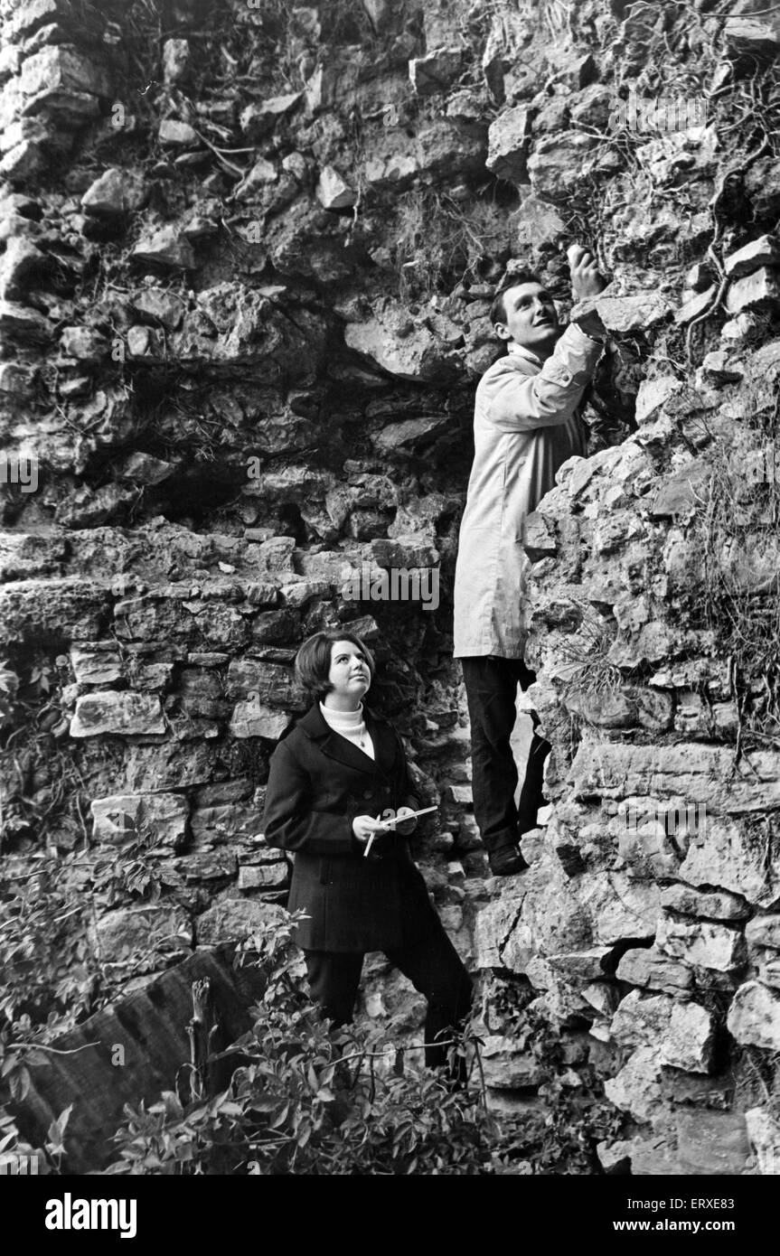 Dinas powis -Fotos und -Bildmaterial in hoher Auflösung – Alamy