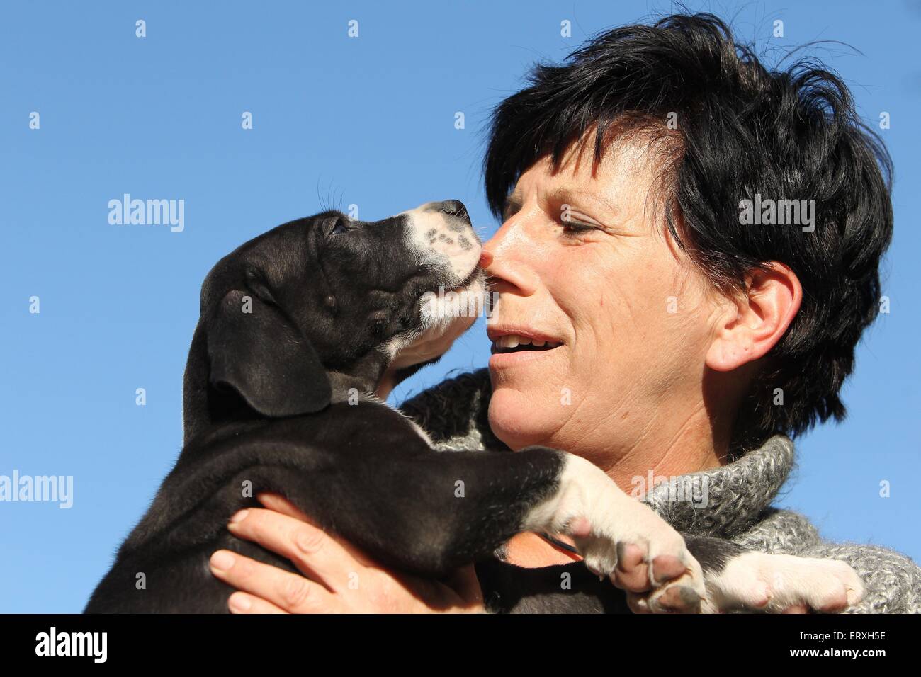 Jnge frau kuschelt mit hund -Fotos und -Bildmaterial in hoher Auflösung ...