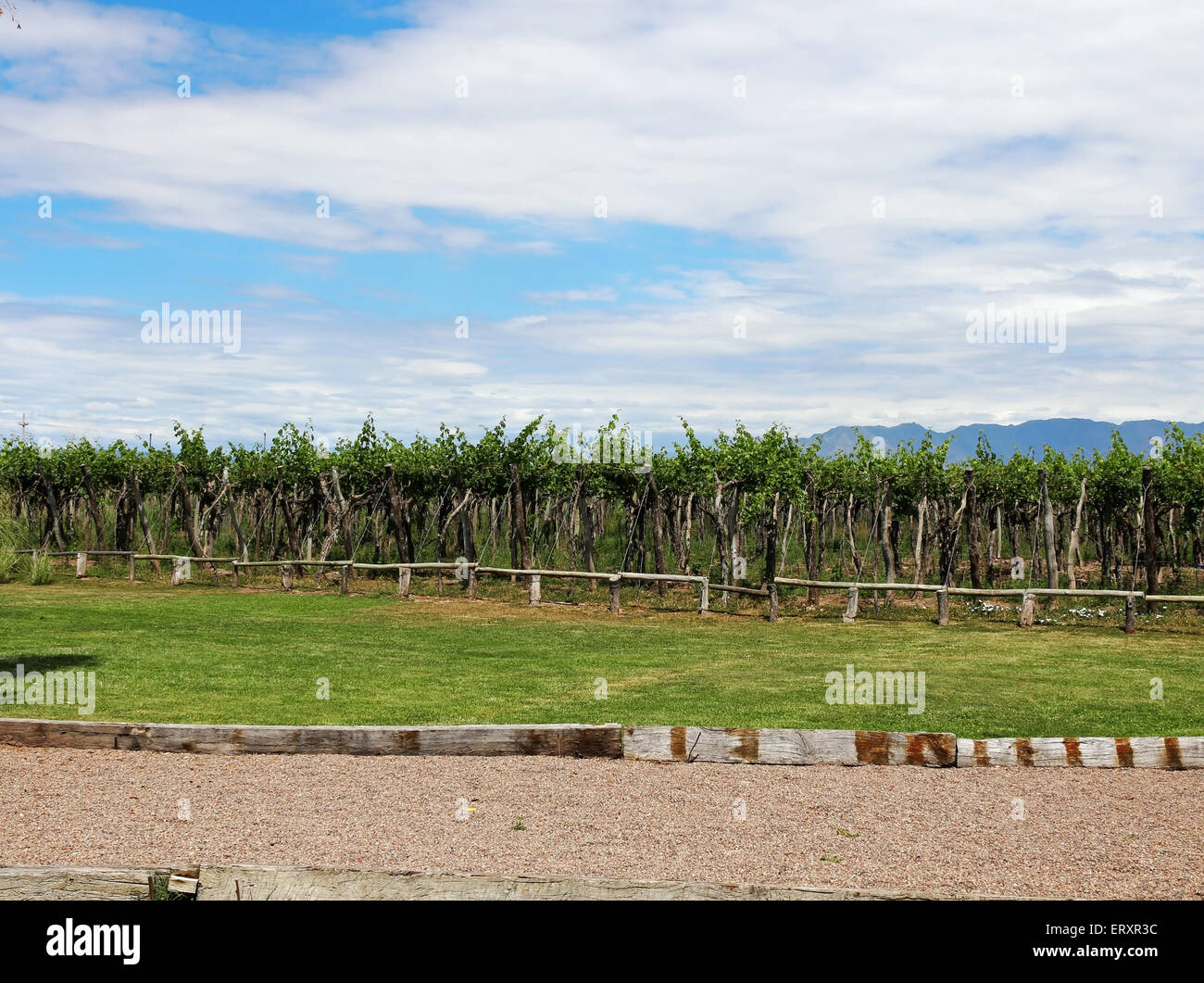 Pergola verde -Fotos und -Bildmaterial in hoher Auflösung – Alamy
