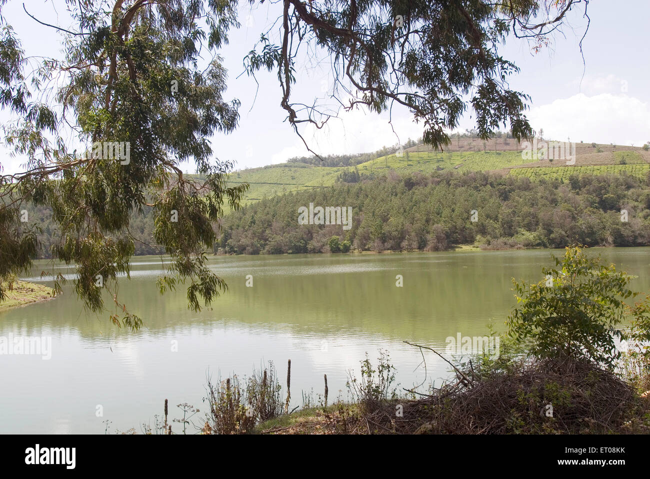 Pykara See, Pykara, Ooty, Udhagamandalam, Hill Station, Nilgiris ...