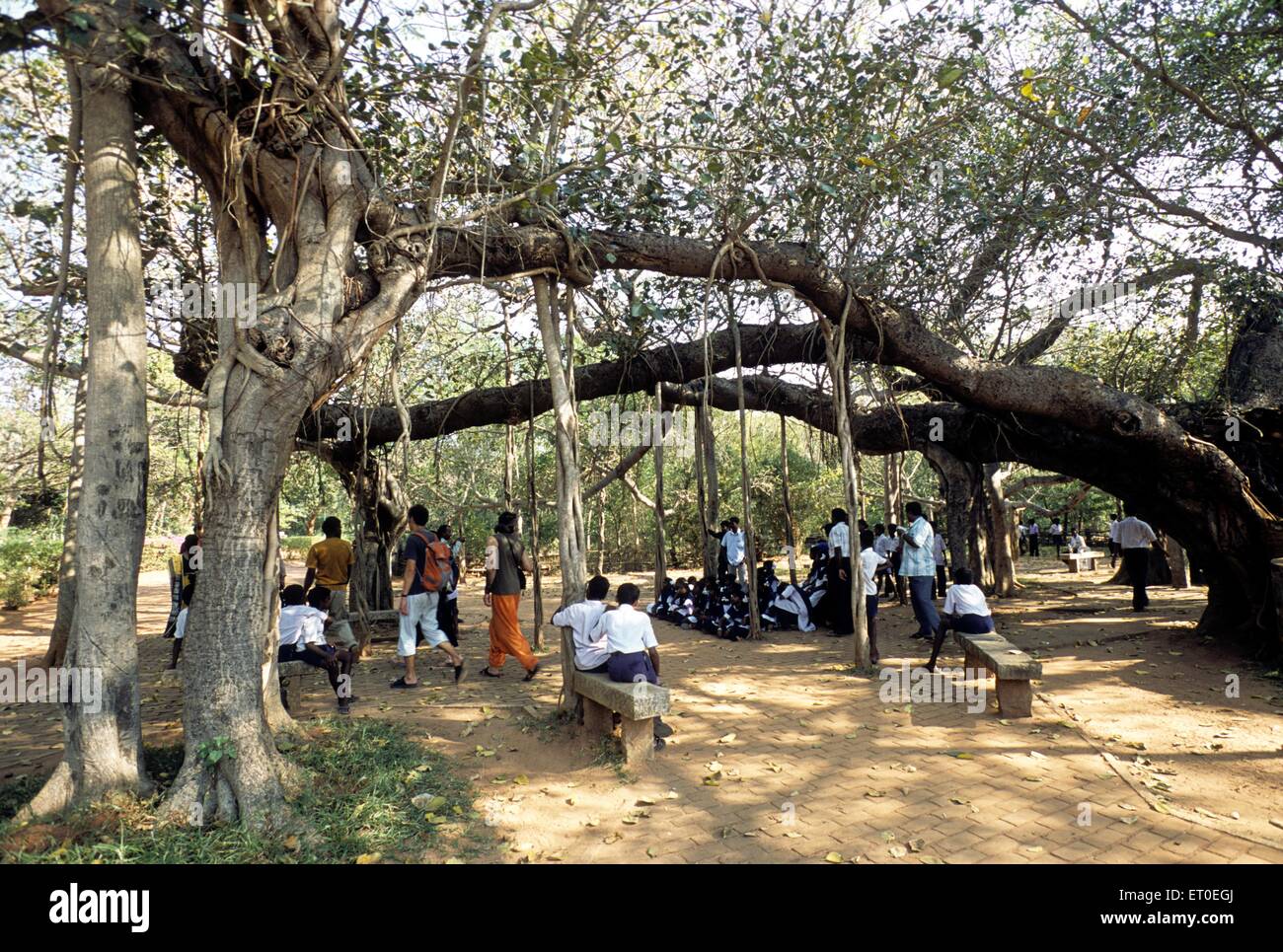 Auroville india -Fotos und -Bildmaterial in hoher Auflösung – Alamy