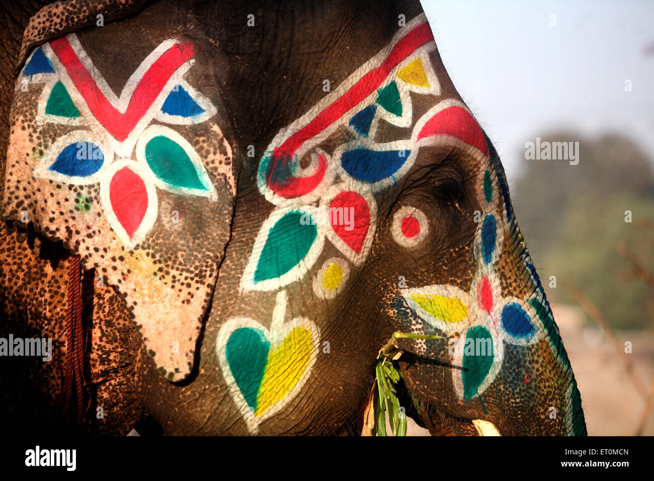 Elefant gemalt -Fotos und -Bildmaterial in hoher Auflösung – Alamy