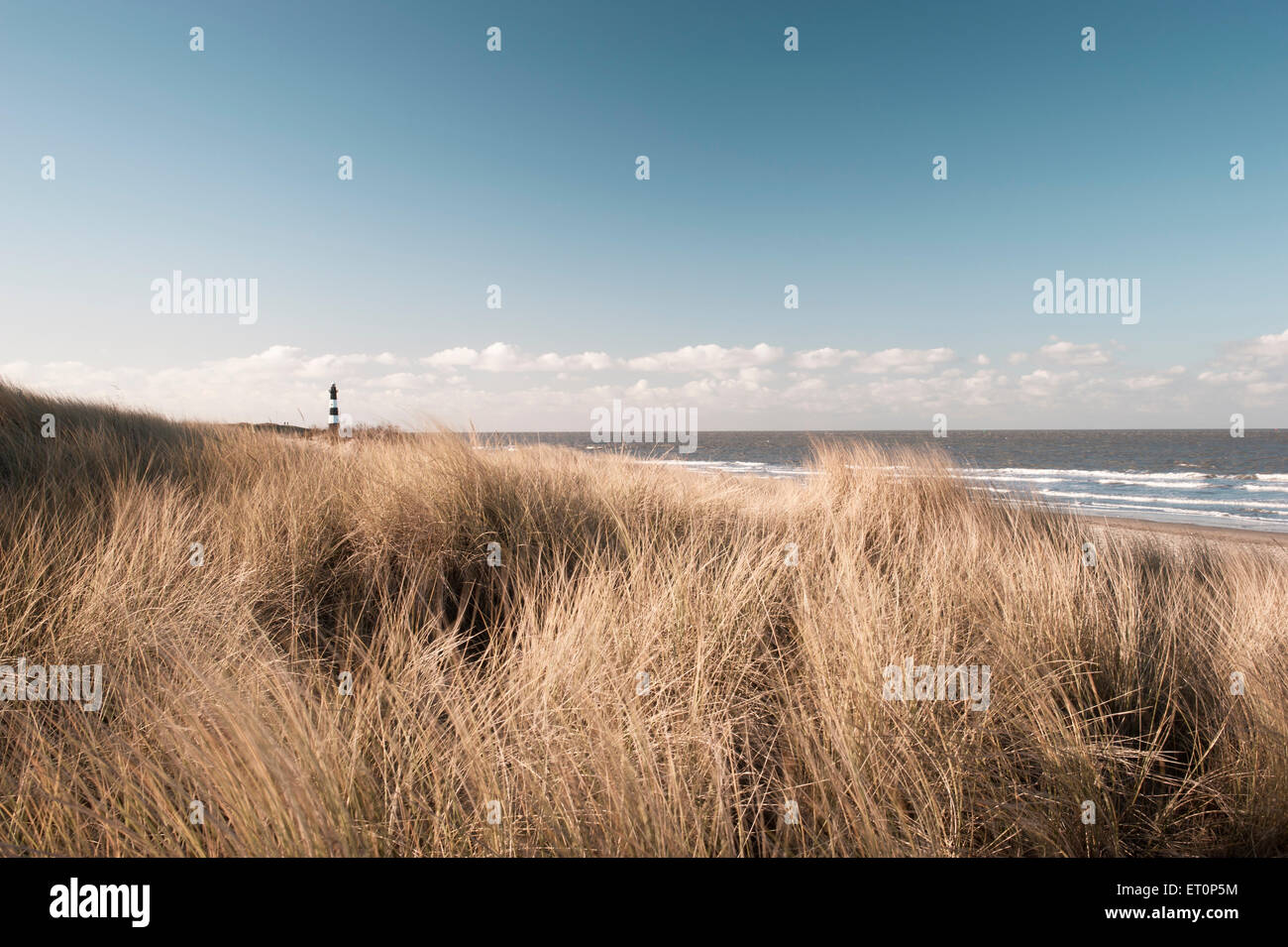Leuchtturm am strand von breskens -Fotos und -Bildmaterial in hoher ...