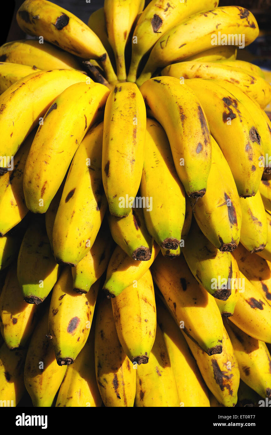 Essbare bananen Stockfotos und -bilder Kaufen - Alamy