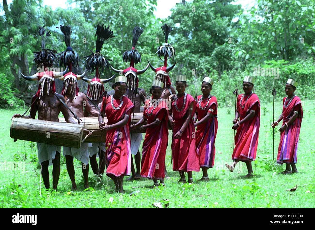 Tribal Dance; Bison Horn maria Tribe Dancing; Bastar; Chhattisgarh ...
