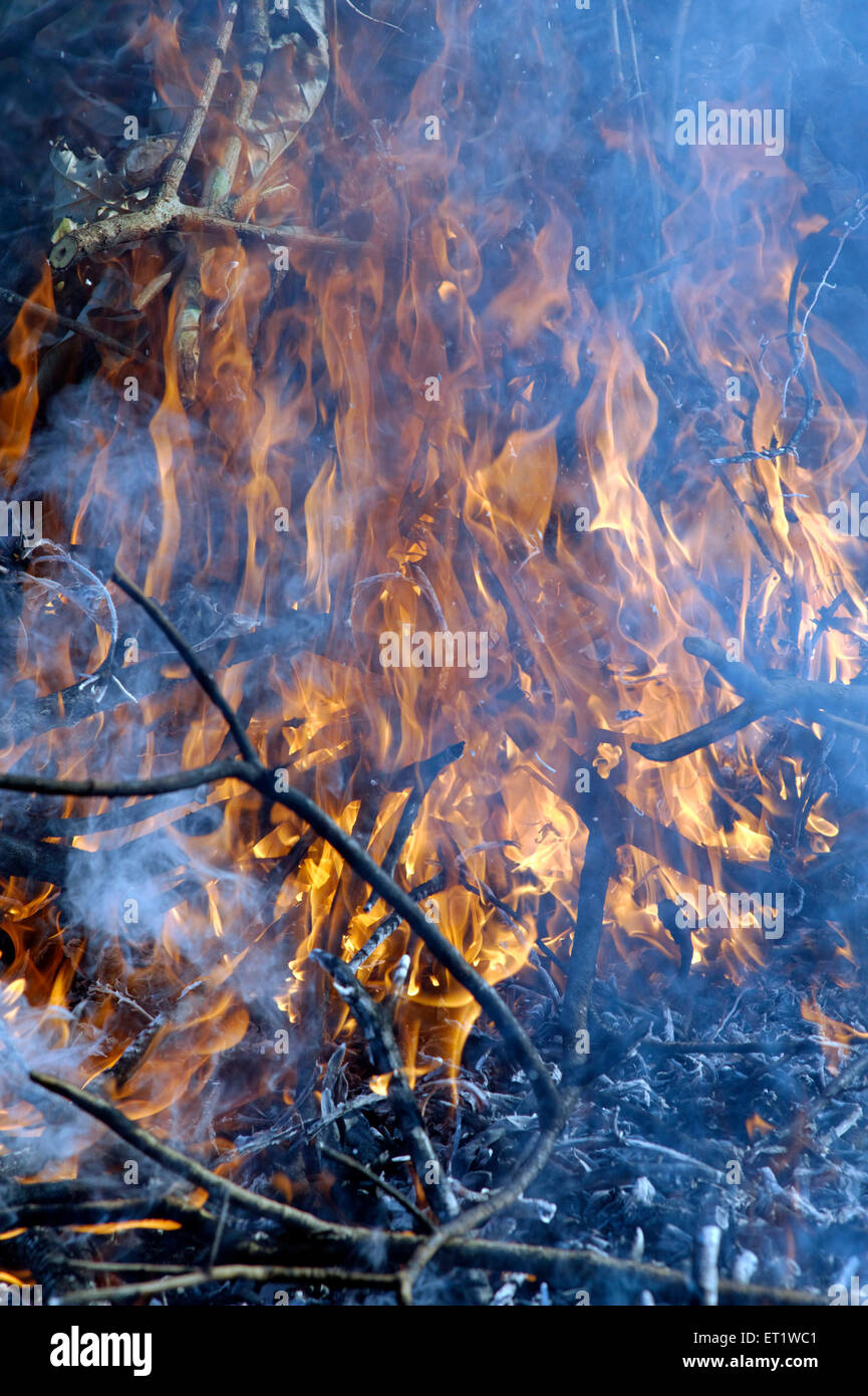 Flammen brennen -Fotos und -Bildmaterial in hoher Auflösung – Alamy
