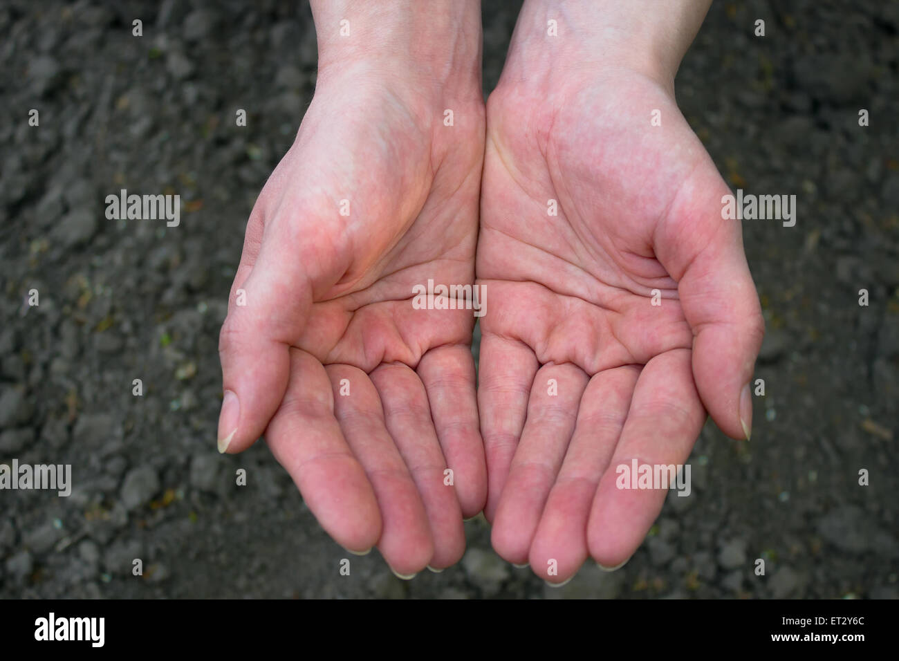 Hände halten erde -Fotos und -Bildmaterial in hoher Auflösung – Alamy