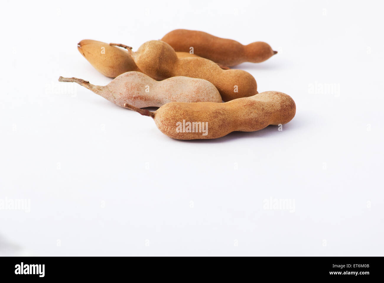 Tamarindenbaum tamarindus indica -Fotos und -Bildmaterial in hoher ...