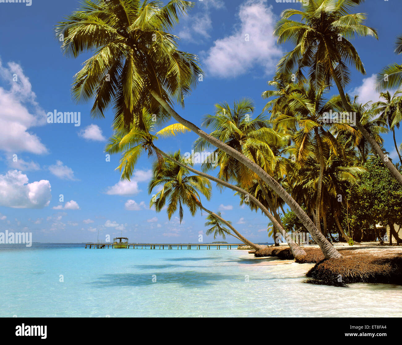 Nord male atoll malediven -Fotos und -Bildmaterial in hoher Auflösung ...