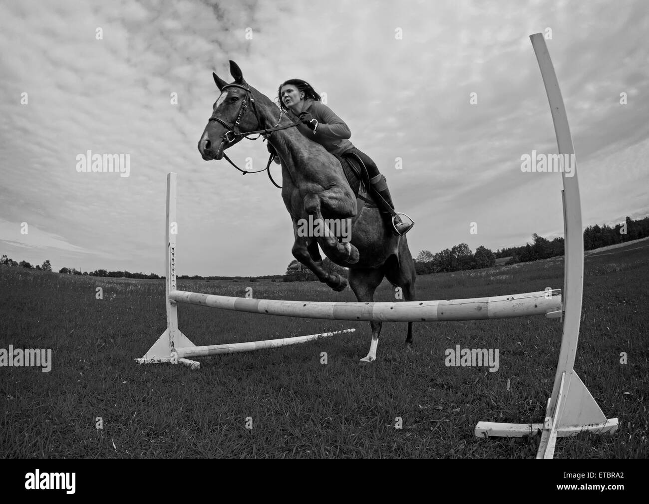 Horse jumping -Fotos und -Bildmaterial in hoher Auflösung – Alamy