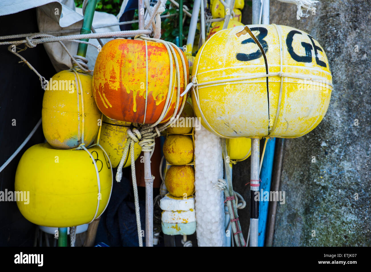 Camogli fish -Fotos und -Bildmaterial in hoher Auflösung – Alamy