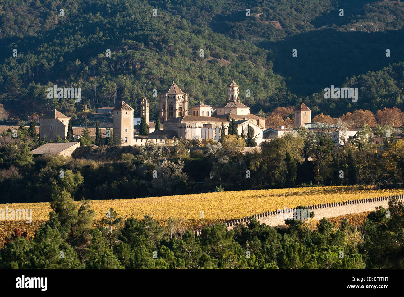 Monestir poblet -Fotos und -Bildmaterial in hoher Auflösung – Alamy