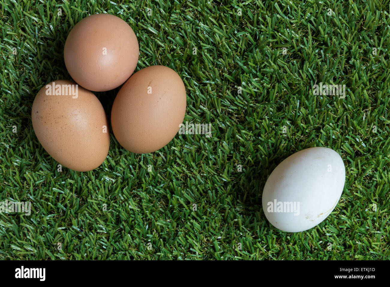 Mehrheits minderheit -Fotos und -Bildmaterial in hoher Auflösung – Alamy